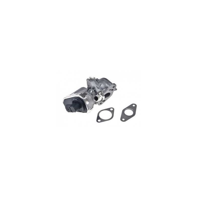 Vanne EGR Ford Transit Mk6